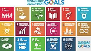 ESG、CSR和SDGs有什麼差異？對環境很重要？企業如何實行？ - Greenpeace 綠色和平 | 臺灣