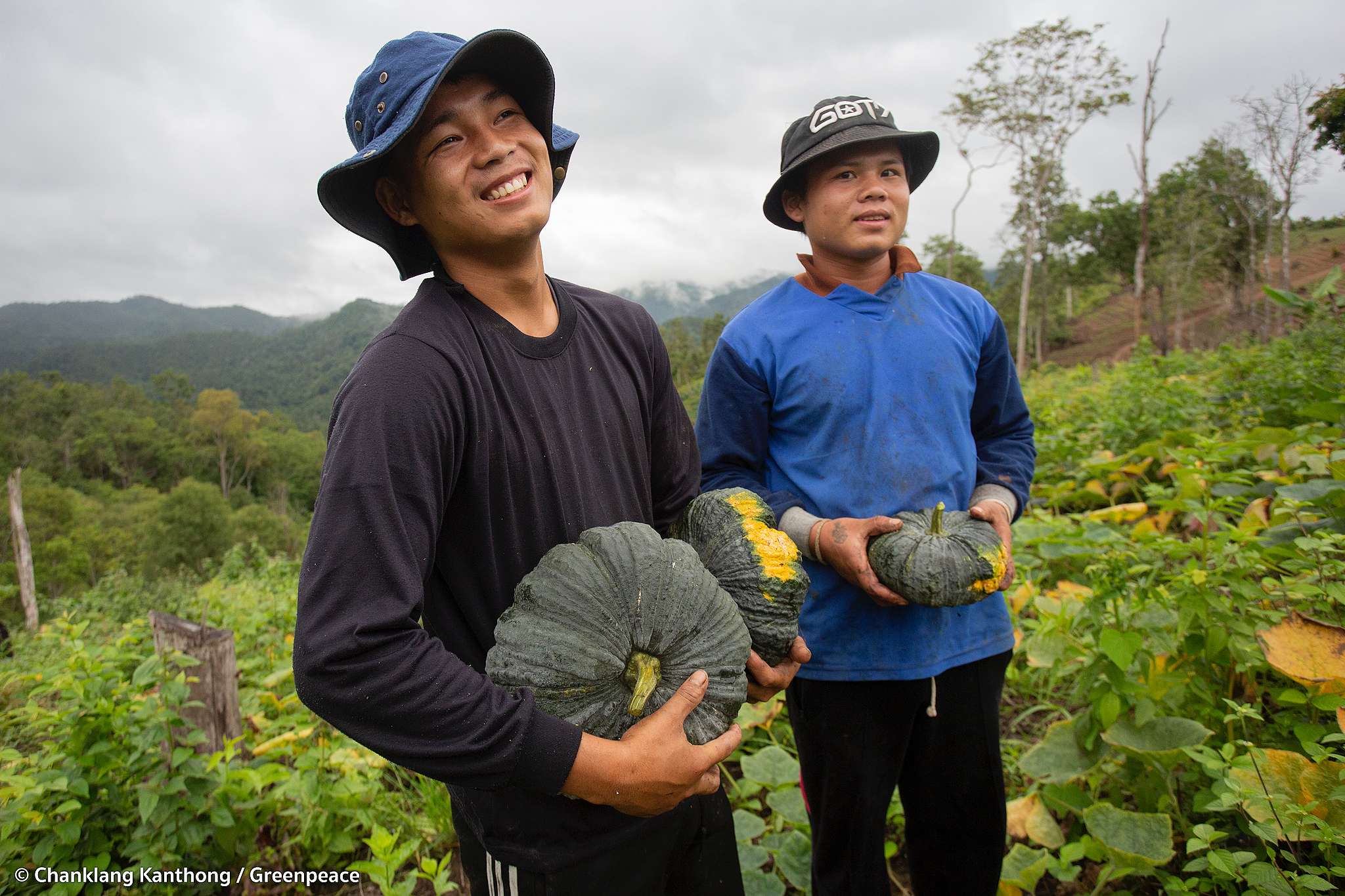 แหล่งอาหารในอมก๋อยอาจได้รับผลกระทบจากถ่านหิน - Greenpeace Thailand