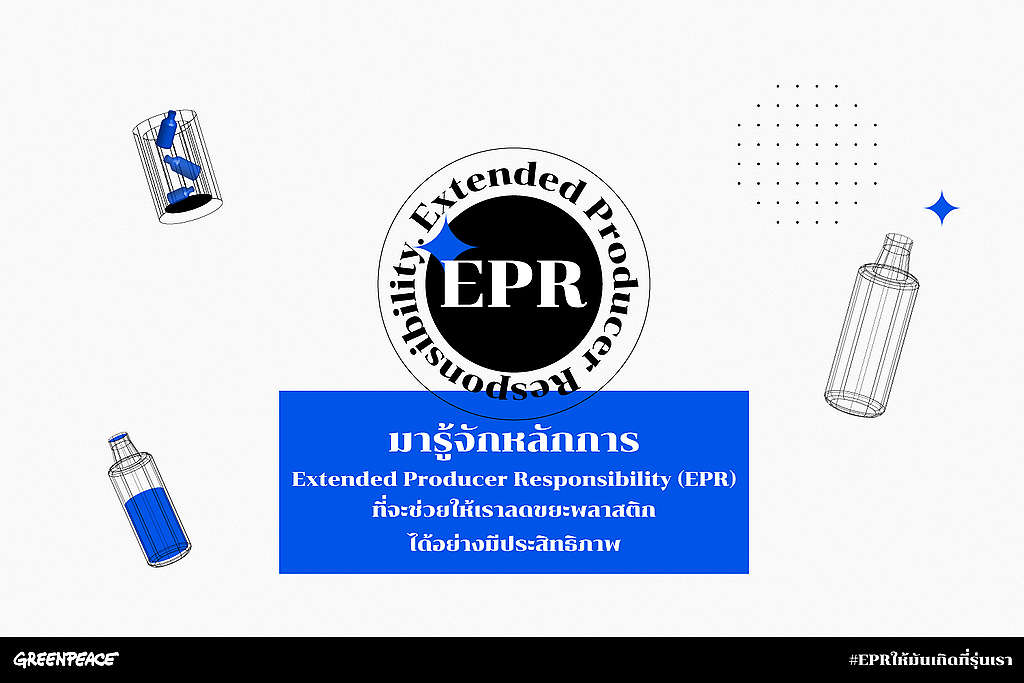 บทความ - Greenpeace Thailand