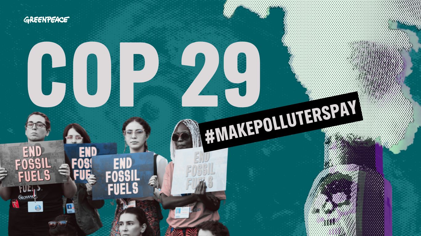 COP29 ถึงเวลาผู้ก่อโลกเดือดต้องรับผิดชอบ - Greenpeace Thailand