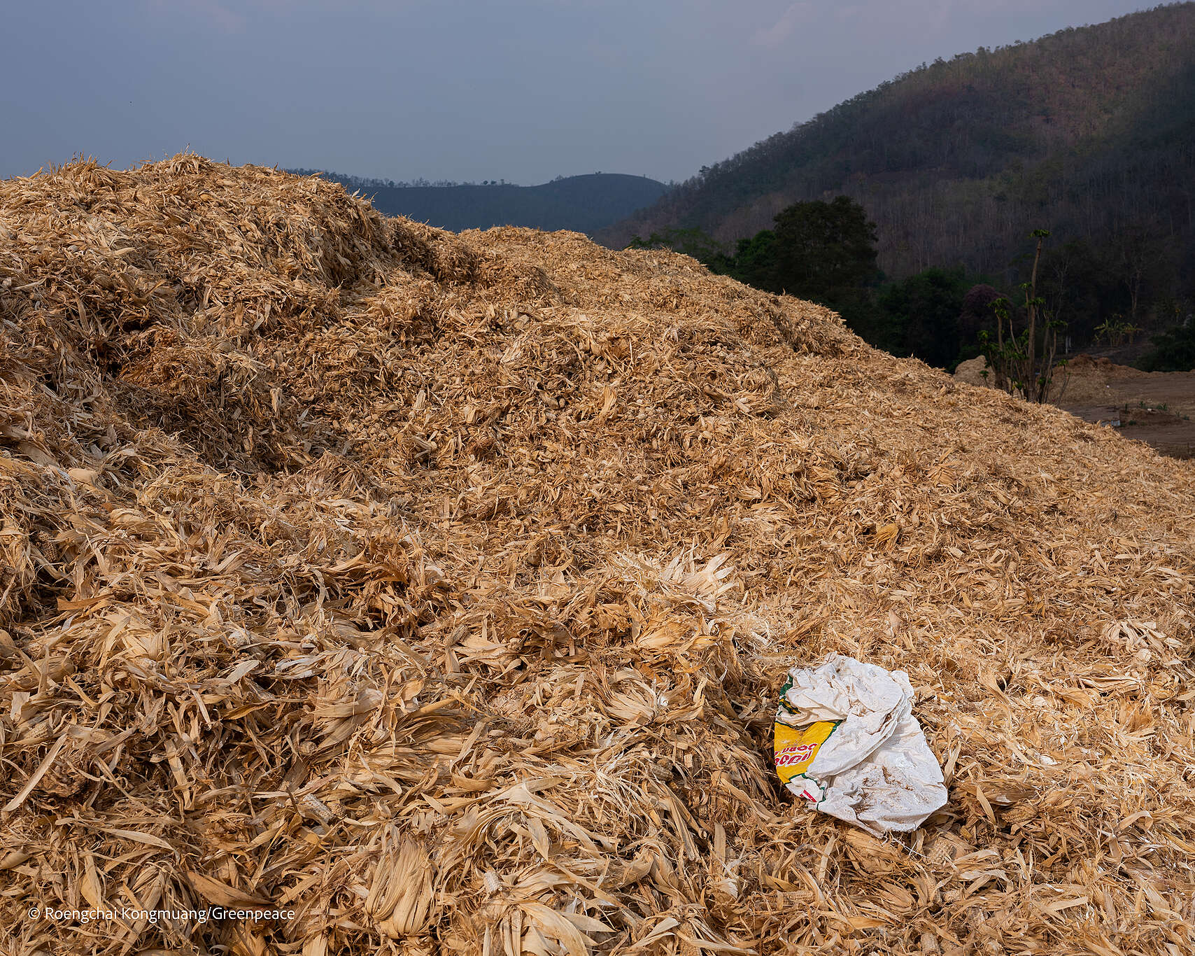 เพราะอะไรมาตรการ Zero Burn จึงไม่ตอบโจทย์การแก้ฝุ่นพิษ แต่กลับทำให้เลว ...