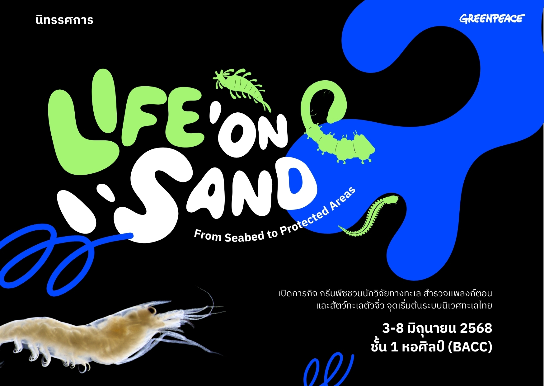 นิทรรศการ Life on Sand : From Seabed to Protected Areas - Greenpeace ...