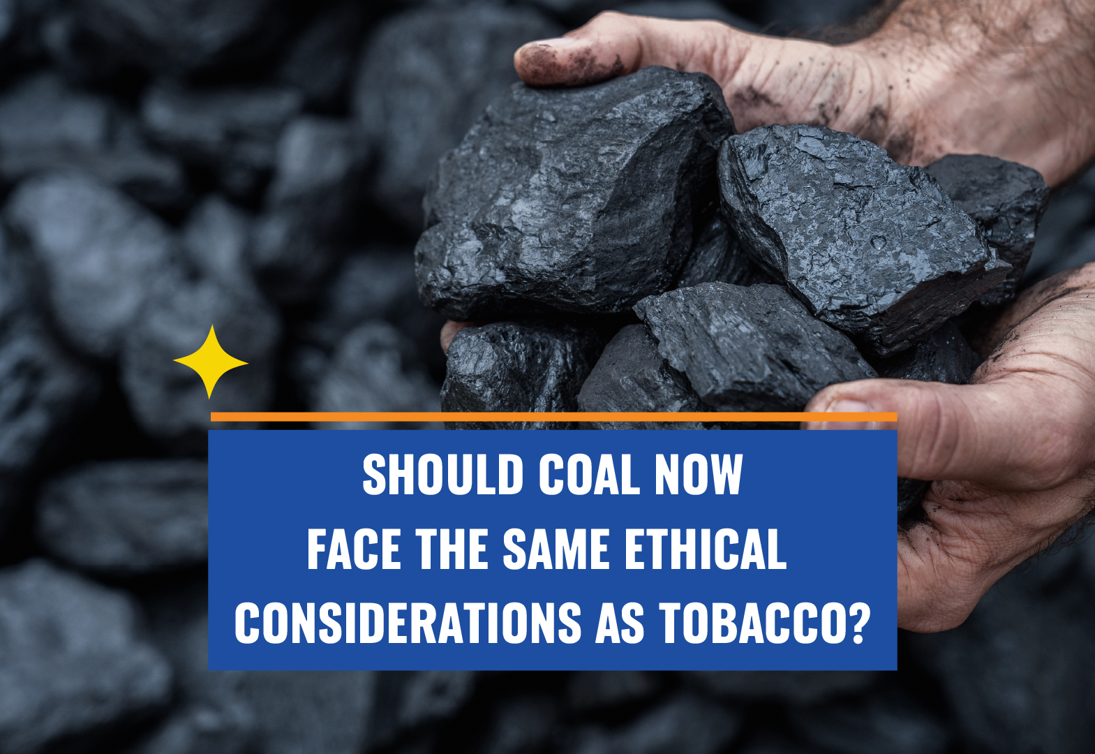 Reassessing Coal in Islamic Finance: Securing Life, Wealth, and ...