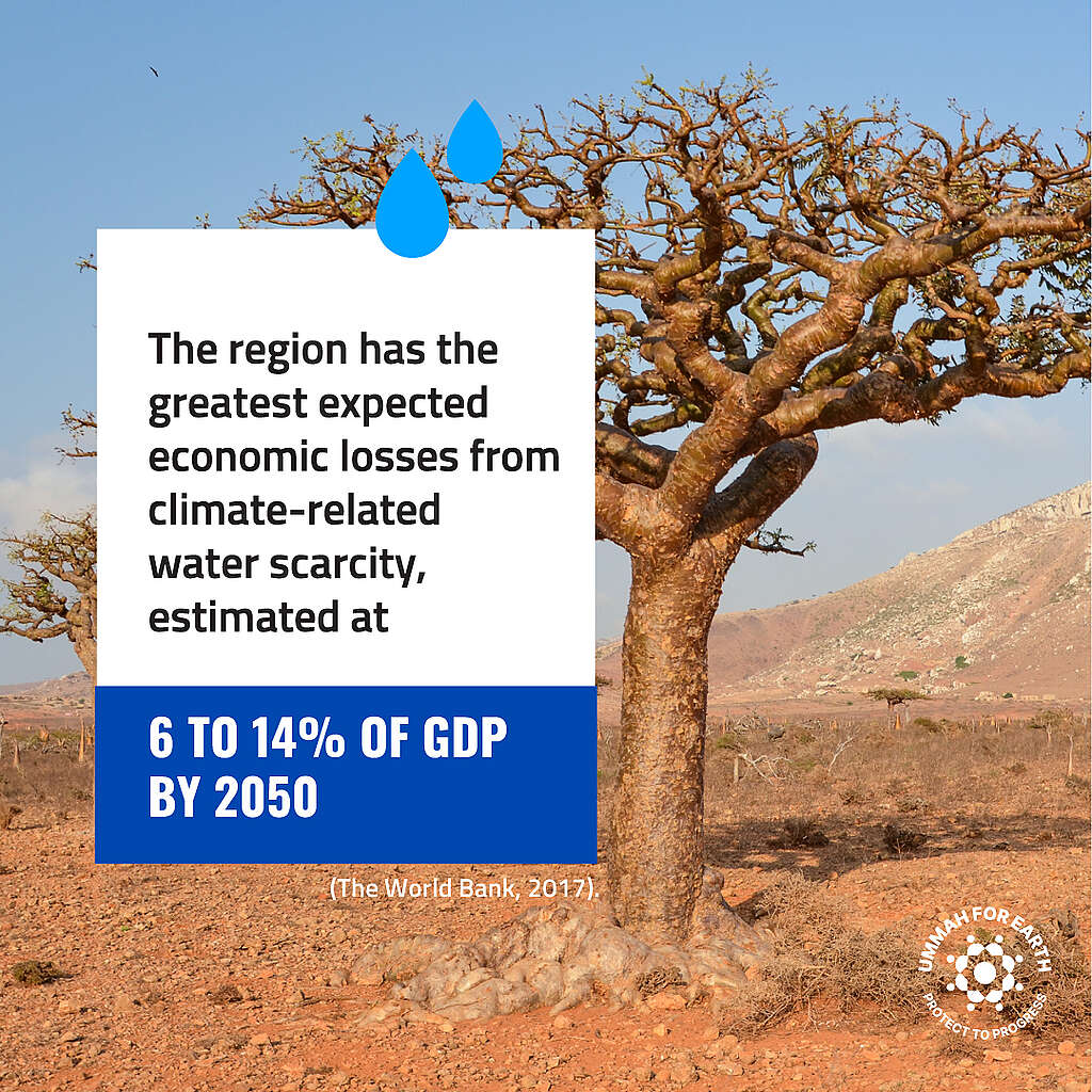 Water Conservation in the MENA Region: Bringing Back Hima systems to ...