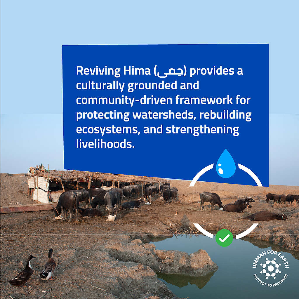 Water Conservation in the MENA Region: Bringing Back Hima systems to ...